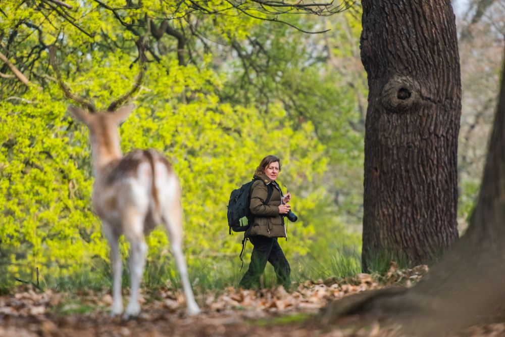 Top 8 Classes To Enjoy On World Wildlife Day (2022)